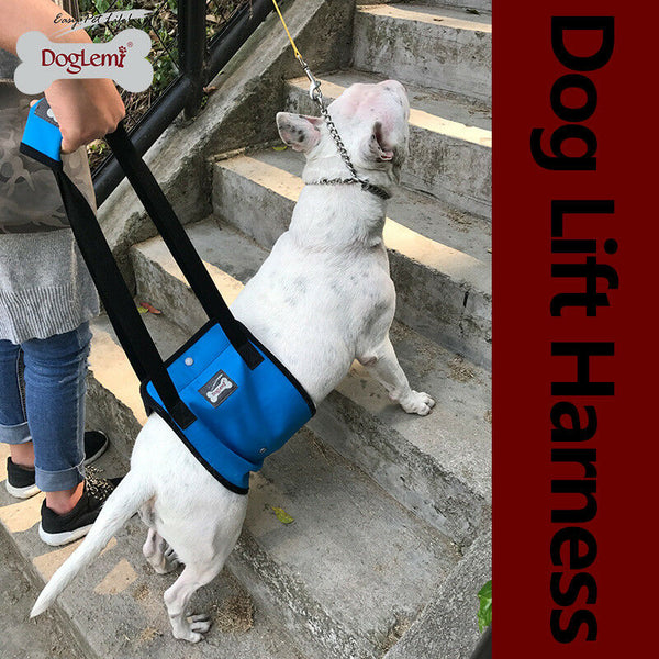 Lift Harness for Large Dogs Weak Hind Legs Elderly Dog Support with Ha ...